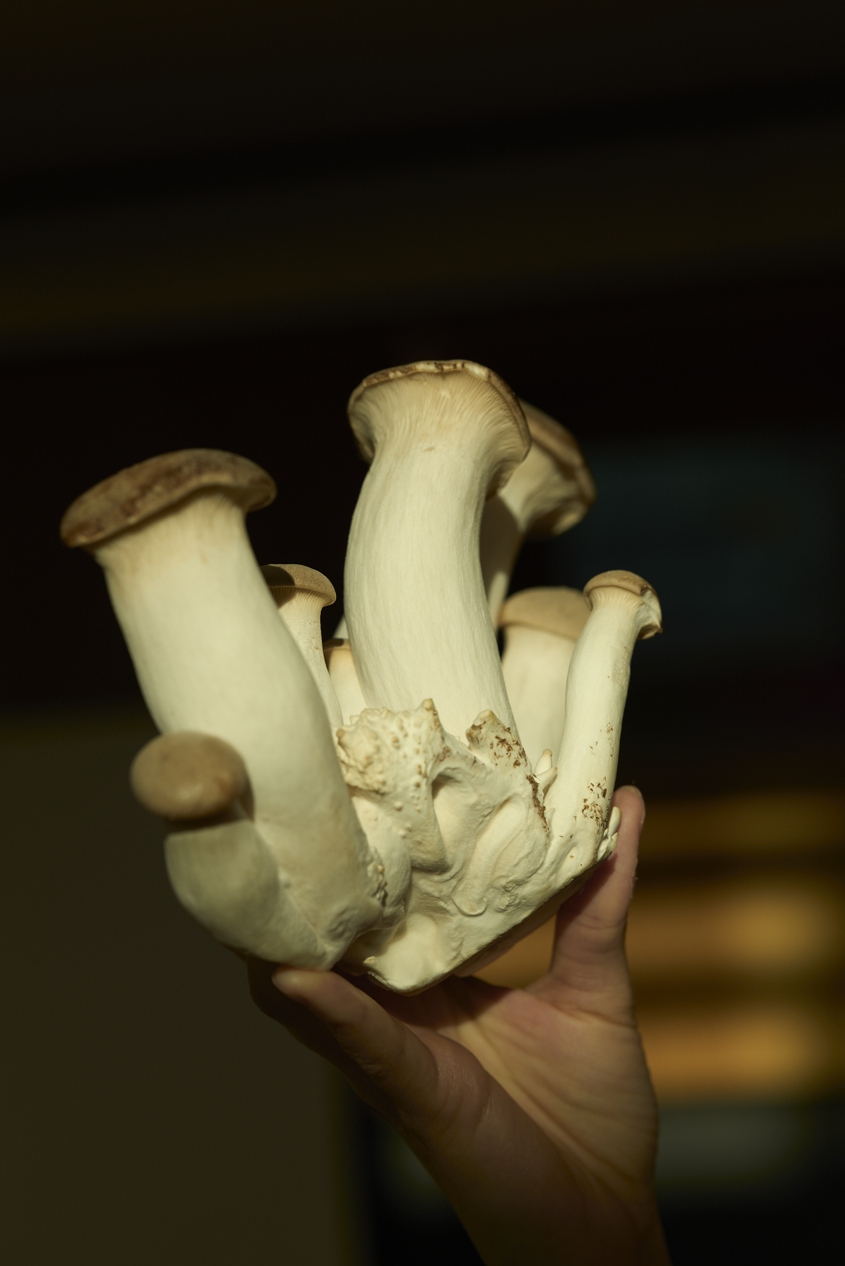 KELSEN - Österreichische Küche mit oooh und aaah