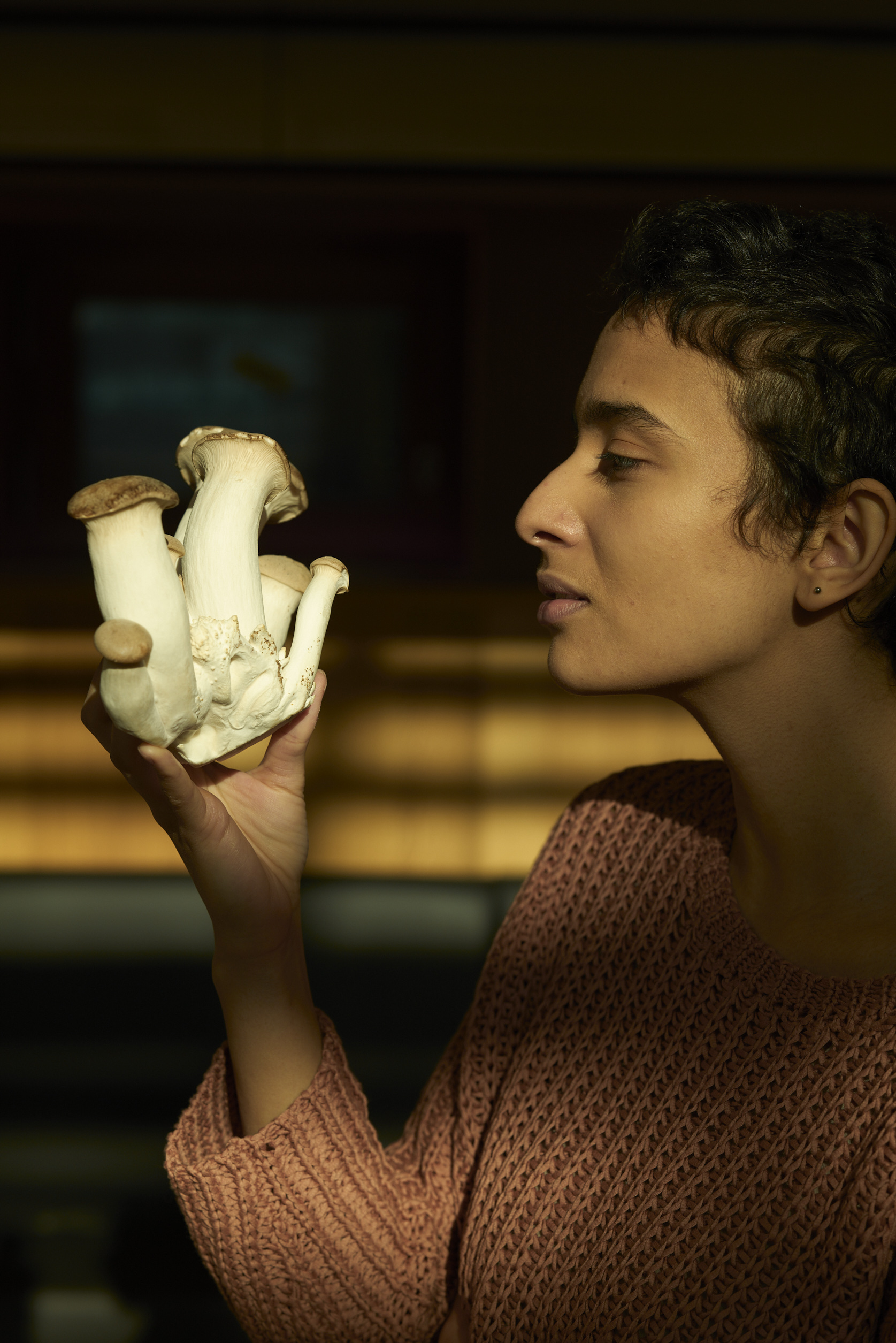 Nachhaltigkeit - KELSEN